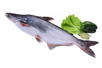 Cá basa phi lê làm món gì? 14 món ăn và cách chế biến không tanh